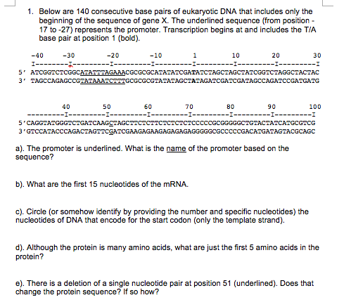 Solved 1. Below are 140 consecutive base pairs of eukaryotic | Chegg.com