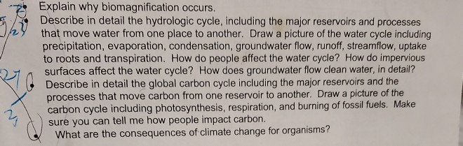 Solved Explain why biomagnification occurs. Describe in | Chegg.com