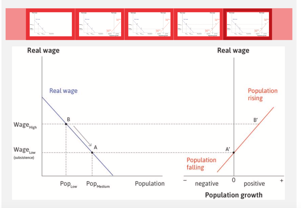 Malthus Population Theory