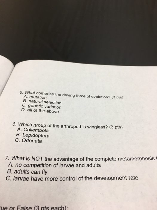 Solved What comprise the driving force of evolution? | Chegg.com