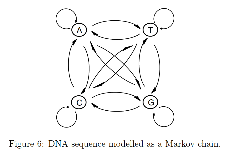 A T G Figure 6: DNA sequence modelled as a Markov | Chegg.com