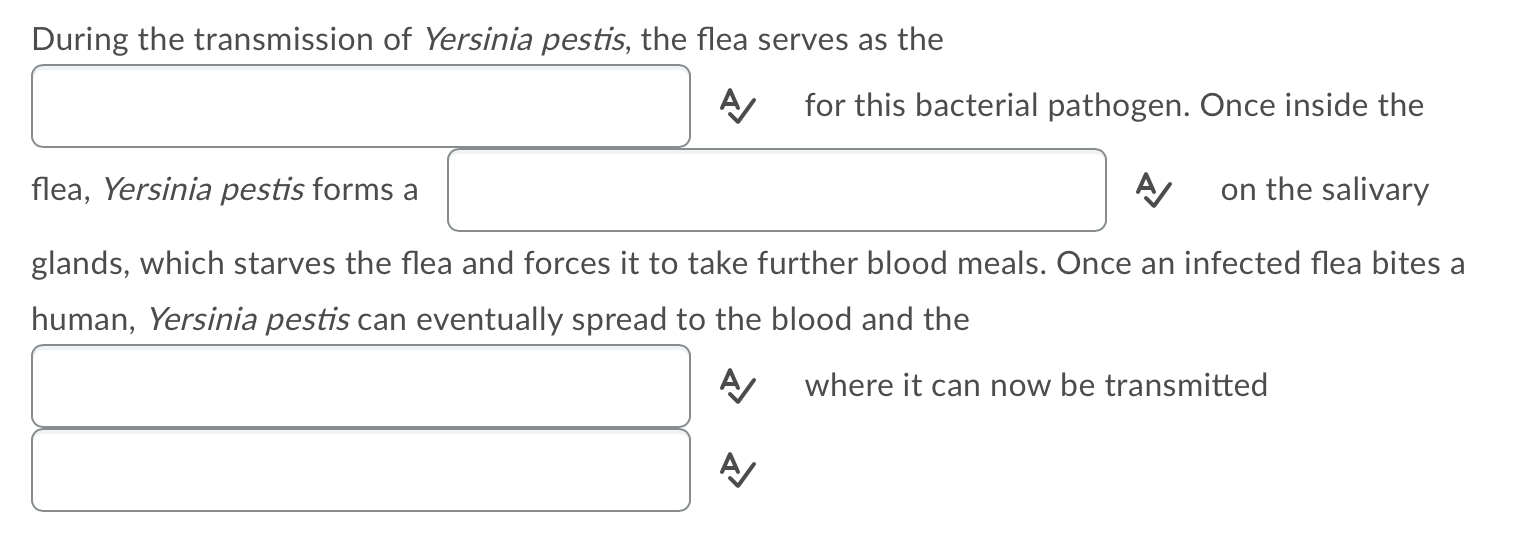 Solved During the transmission of Yersinia pestis, the flea | Chegg.com