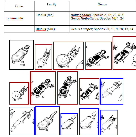 Solved Family Genus Order Redus (red) Caminacula | Chegg.com