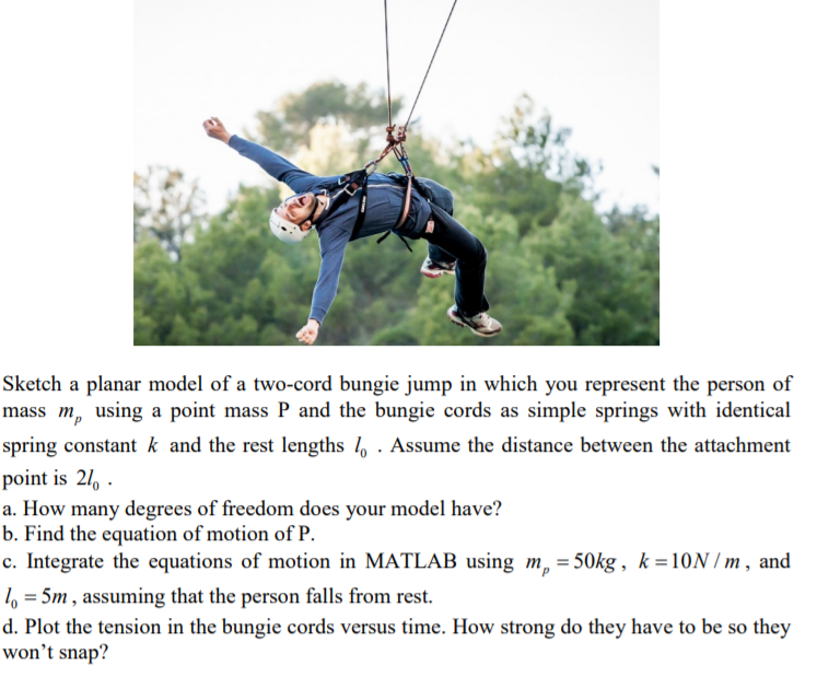 Solved Sketch a planar model of a two-cord bungie jump in | Chegg.com