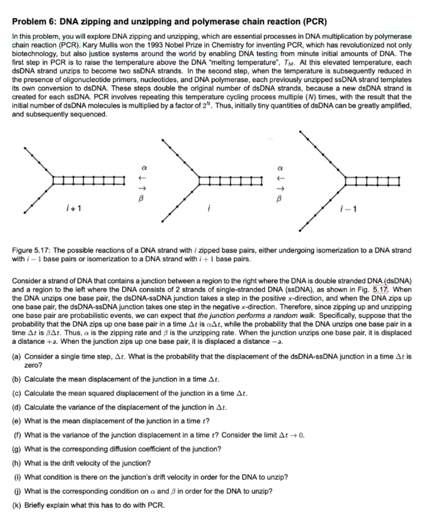 Solved Problem 6: DNA zipping and unzipping and polymerase | Chegg.com