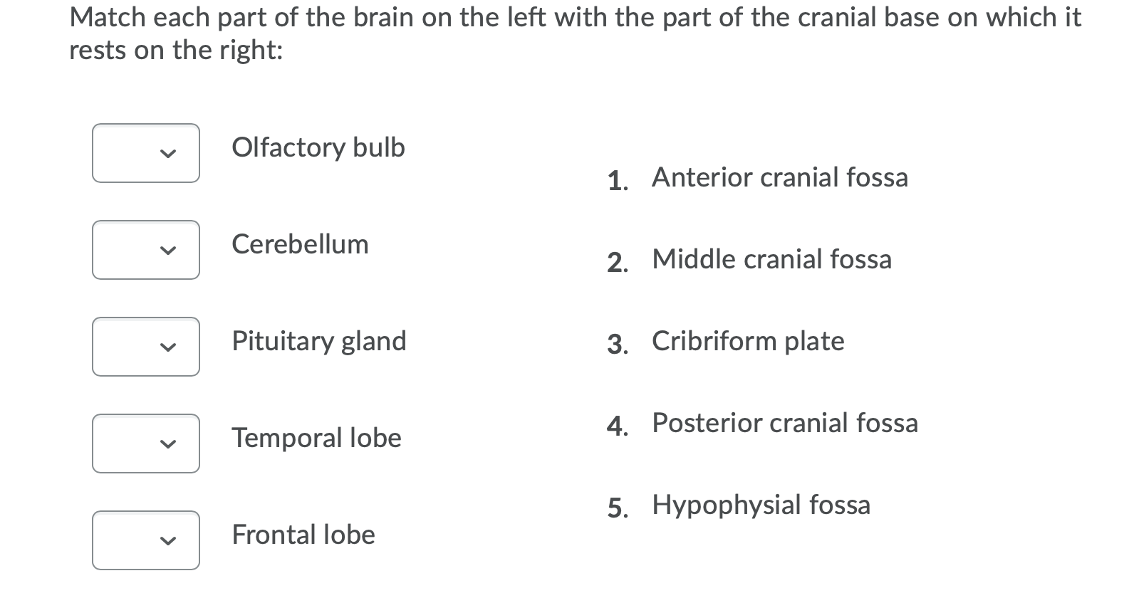 Solved Match each part of the brain on the left with the | Chegg.com