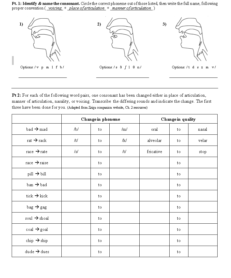 Pt. 1: Identify \& name the consonant. Circle the | Chegg.com