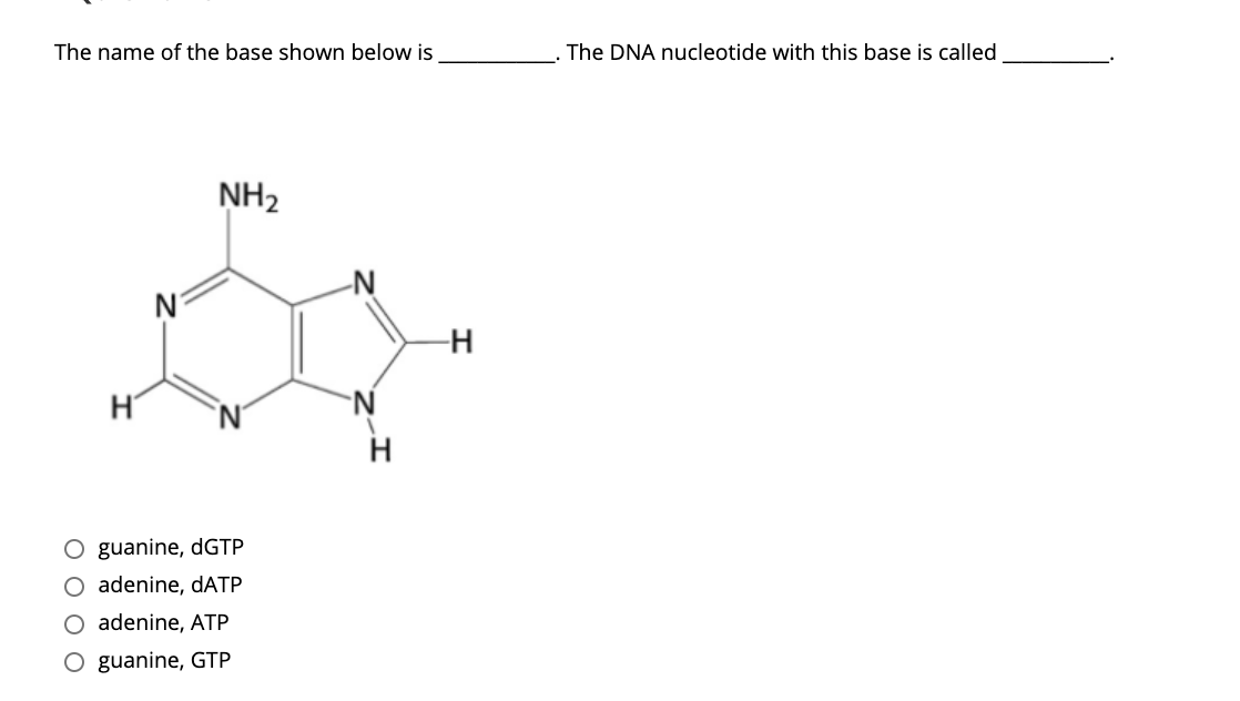Solved The name of the base shown below is The DNA | Chegg.com