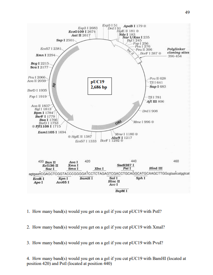 Solved Esp3 I 2683 EcoO109 I 2674 Aat II 2617 Ssp I 2501 | Chegg.com