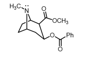 Solved Below is the chemical structure of cocaine. Circle | Chegg.com