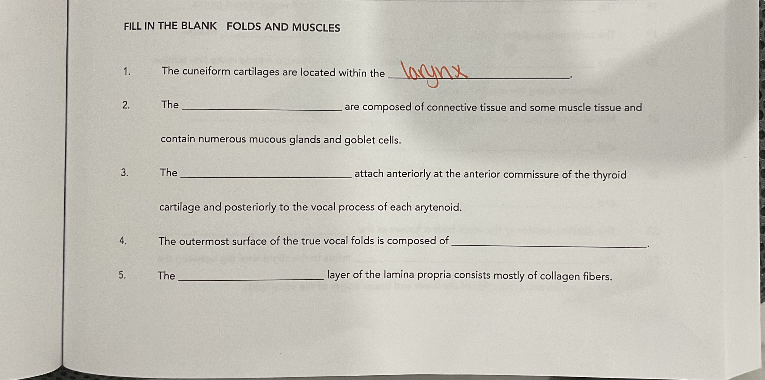 Solved FILL IN THE BLANK FOLDS AND MUSCLES 1. The cuneiform | Chegg.com