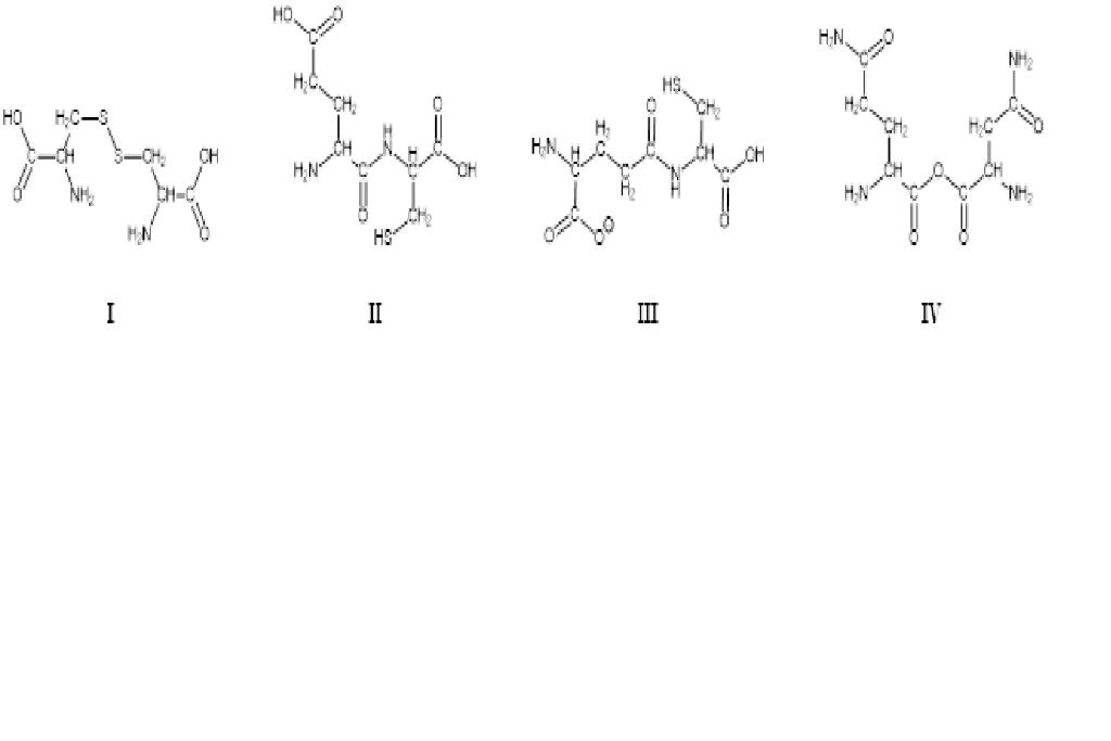Solved Which of the following structures contains a peptide | Chegg.com