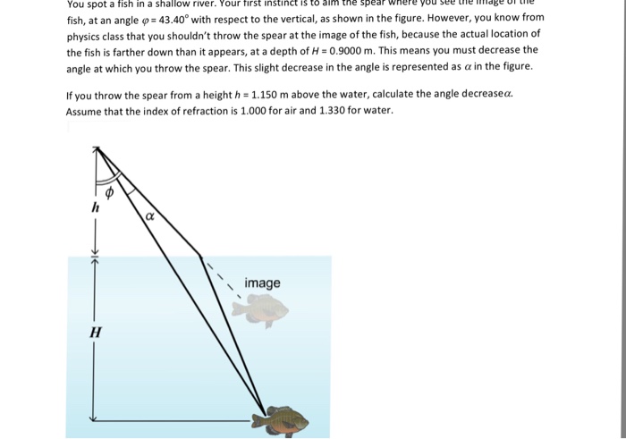 Solved You spot a fish in a shallow river. Your first | Chegg.com