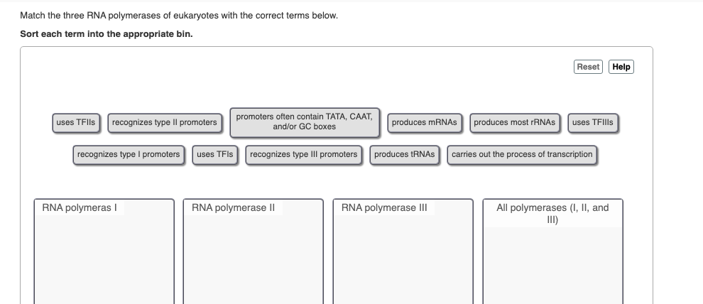 Solved Match the three RNA polymerases of eukaryotes with | Chegg.com