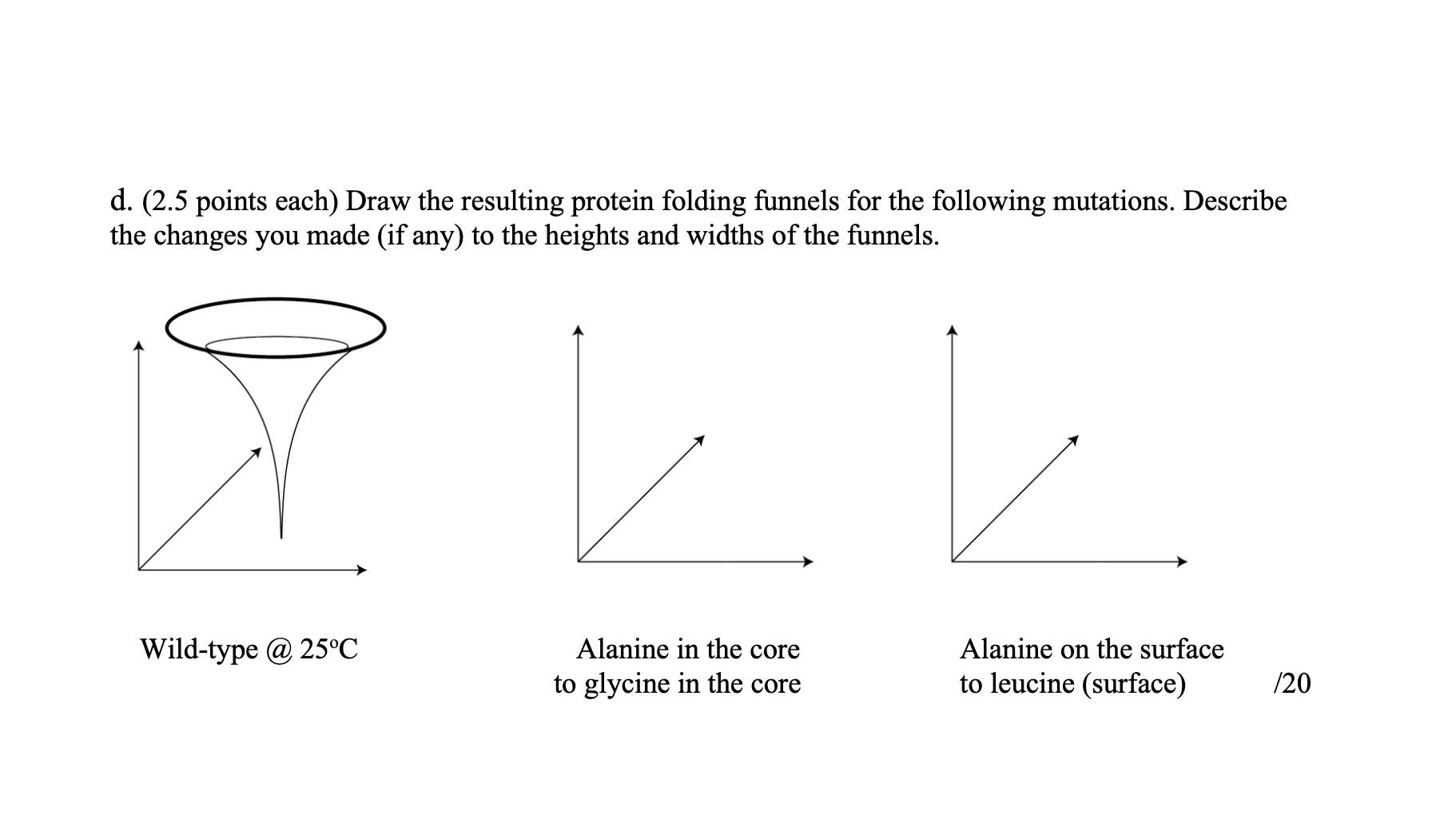 Solved d. (2.5 ﻿points each) ﻿Draw the resulting protein | Chegg.com