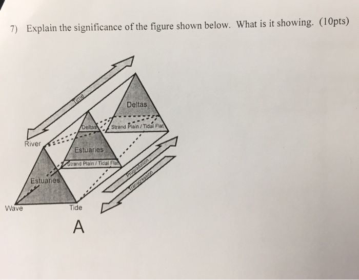 Solved Explain the significance of the figure shown below. | Chegg.com