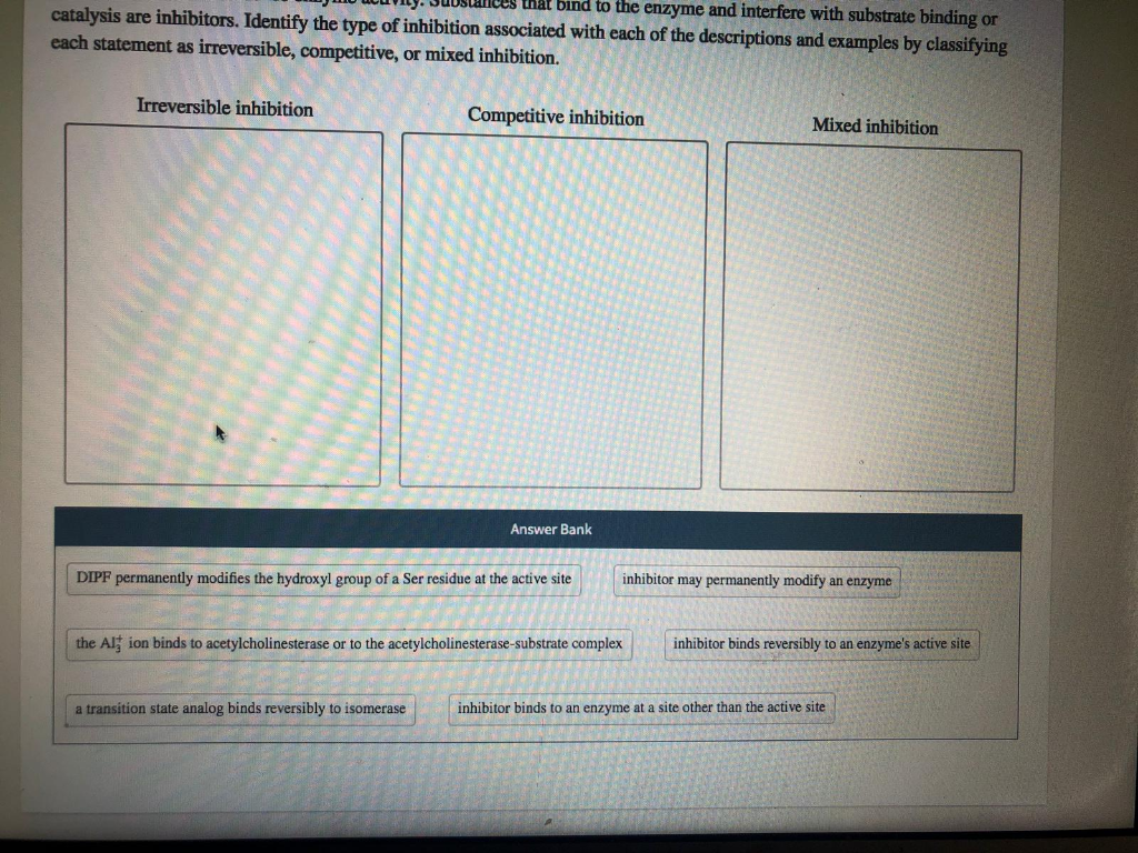 Solved A variety of factors influence enzyme activity. | Chegg.com