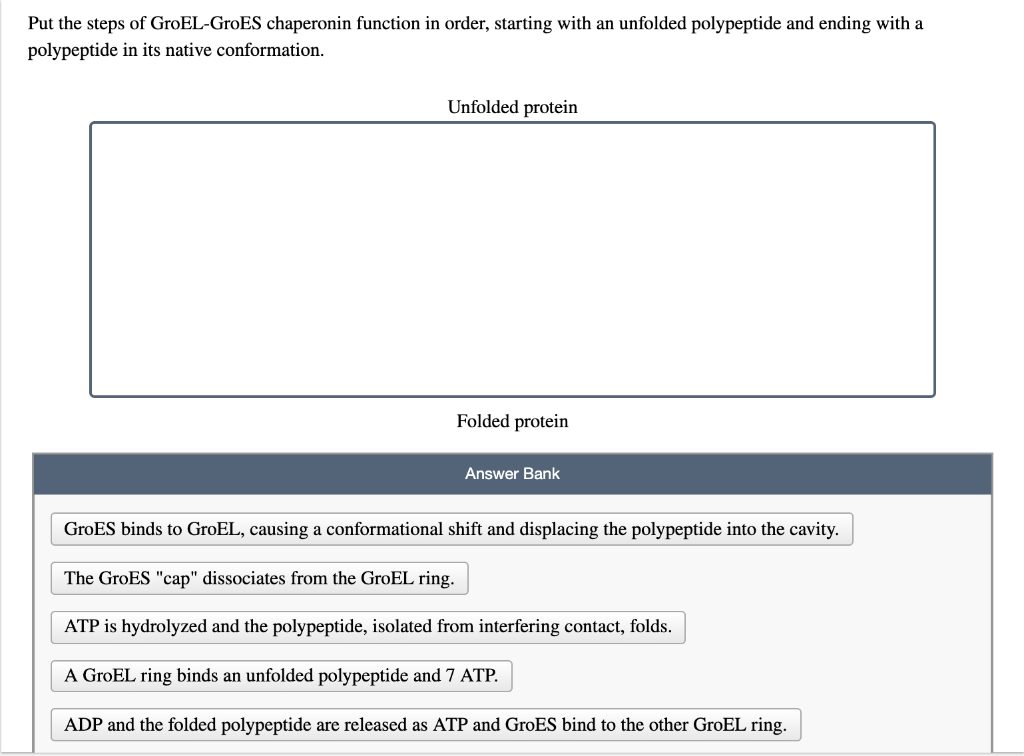 Solved Put the steps of GroEL-GroES chaperonin function in | Chegg.com