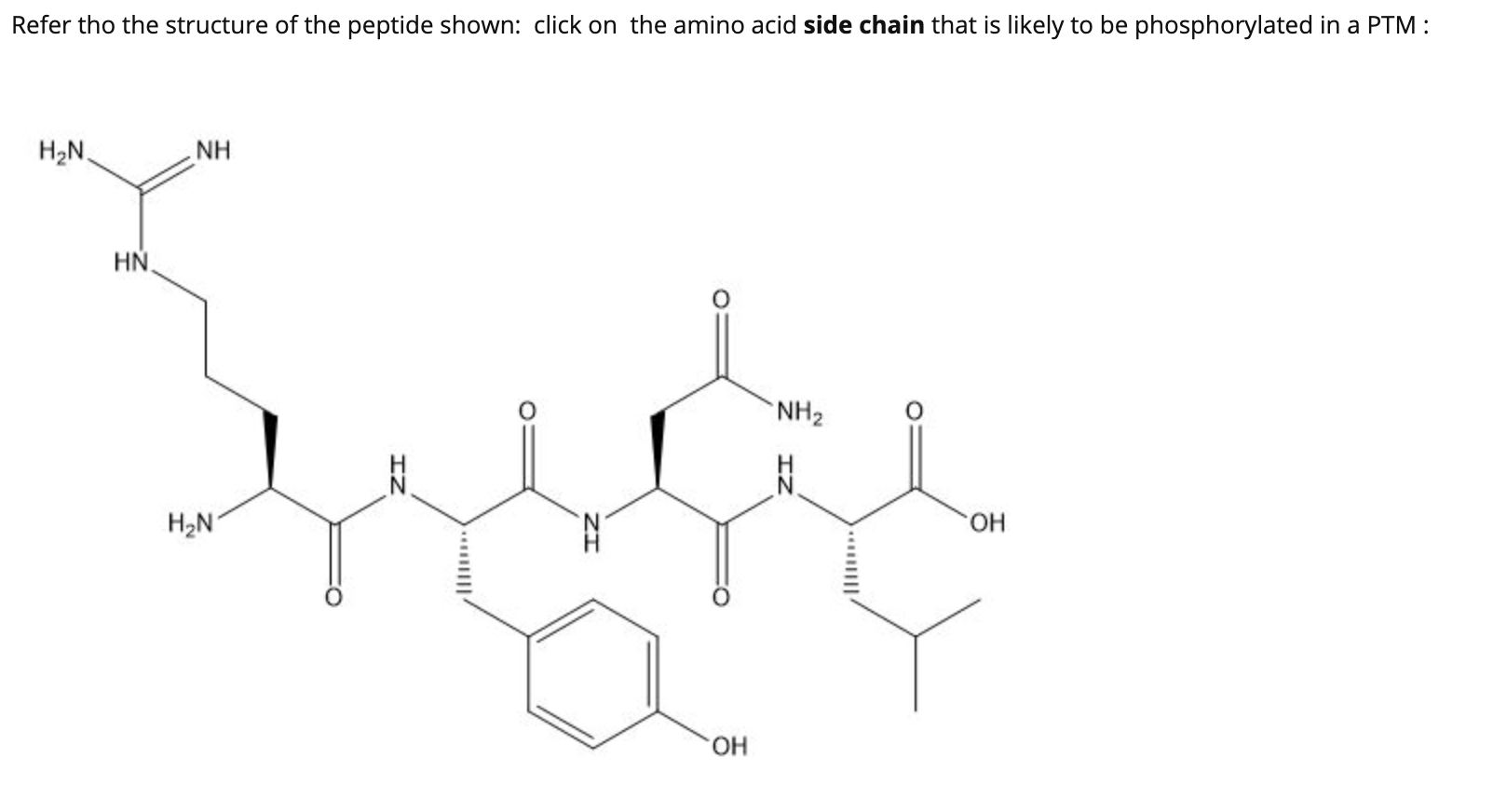 Solved Refer tho the structure of the peptide shown: click | Chegg.com