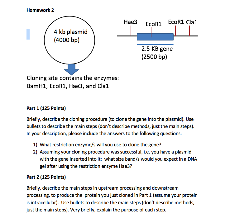 Solved Homework 2 EcOR1 EcoR1 Cla1 4 kb plasmid (4000 bp) | Chegg.com
