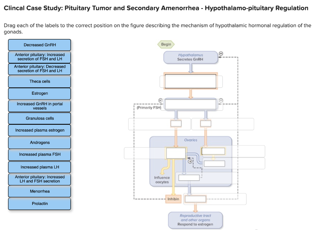 Solved Clinical Case Study: Pituitary Tumor and | Chegg.com