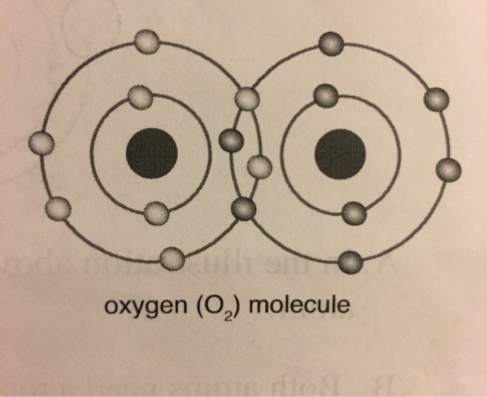 Solved 1.Oxygen is the second most common gas found in the | Chegg.com