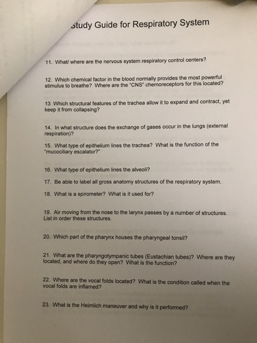 Solved Study Guide for Respiratory System These topics are | Chegg.com