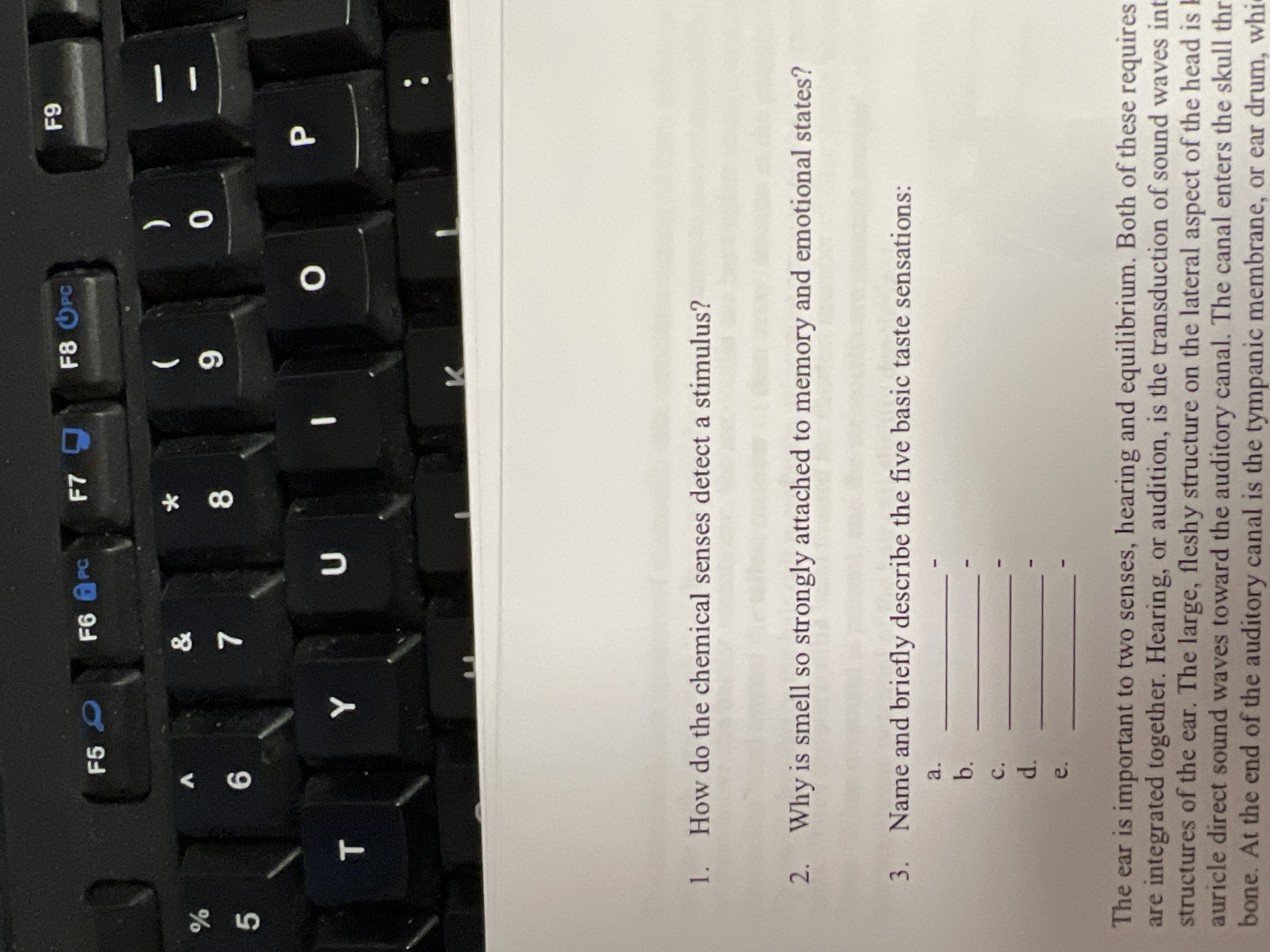 Solved How do the chemical senses detect a stimulus?Why is | Chegg.com