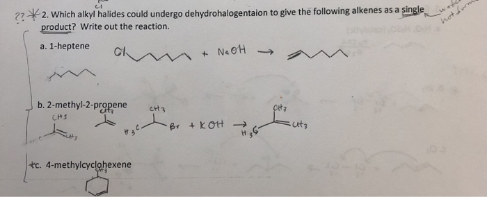 Solved Which Alkyl halides could undergo dehydrohalogenation | Chegg.com