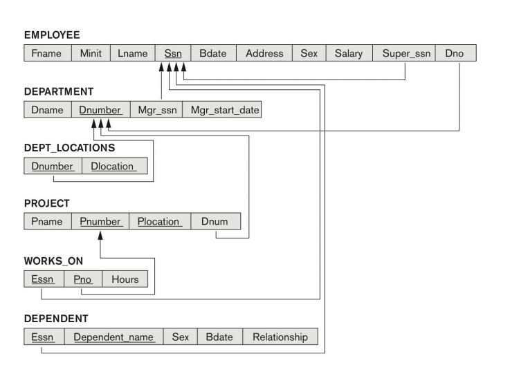 Solved ER diagram shown below has been mapped to relations | Chegg.com