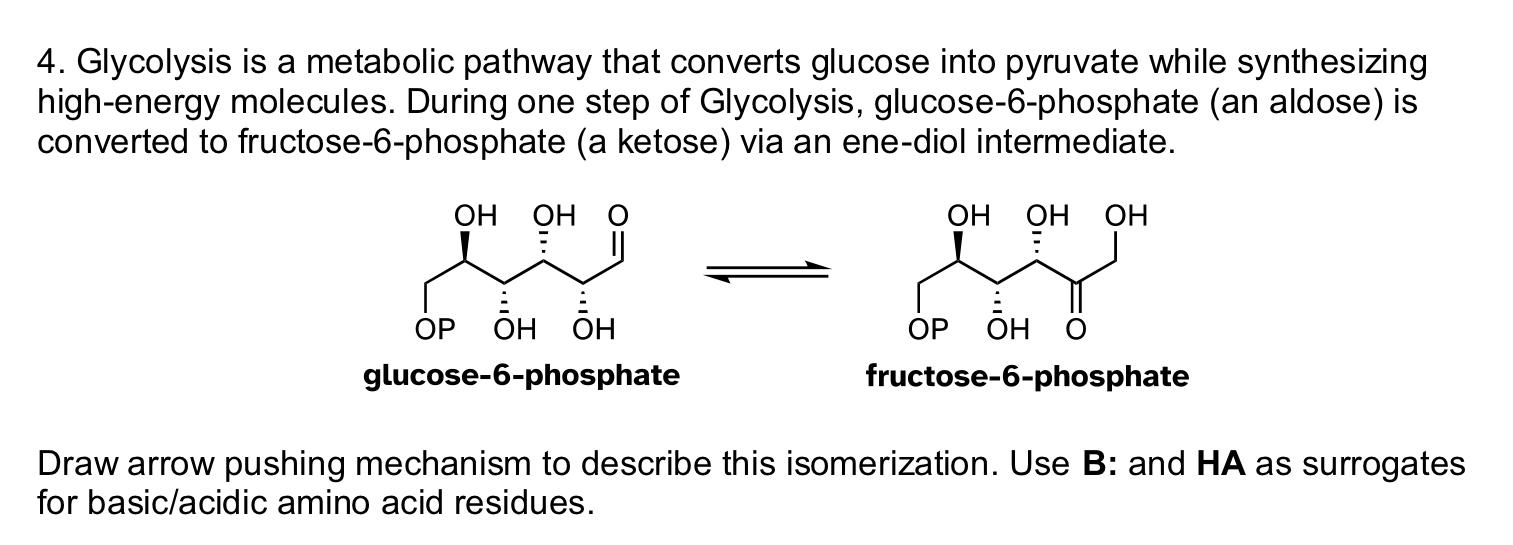 Solved 4. Glycolysis is a metabolic pathway that converts | Chegg.com