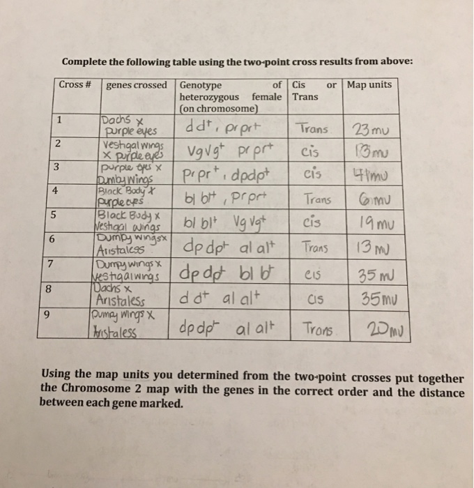 Solved Complete the following table using the two-point | Chegg.com