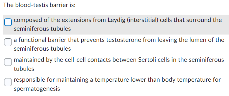 Solved The blood-testis barrier is: composed of the | Chegg.com