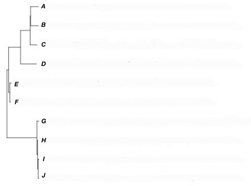 Solved On this maximum likelihood tree, what 2 species are | Chegg.com