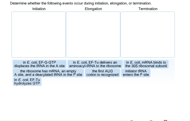 Solved Determine whether the following events occur during | Chegg.com