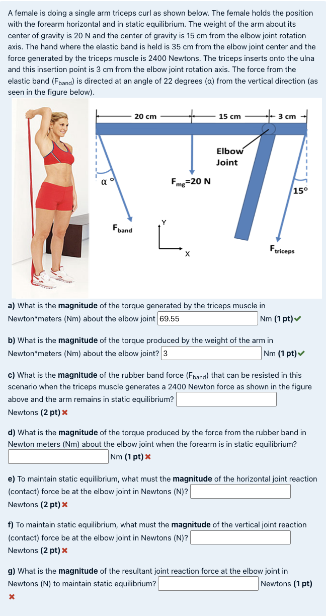 Solved A female is doing a single arm triceps curl as shown | Chegg.com