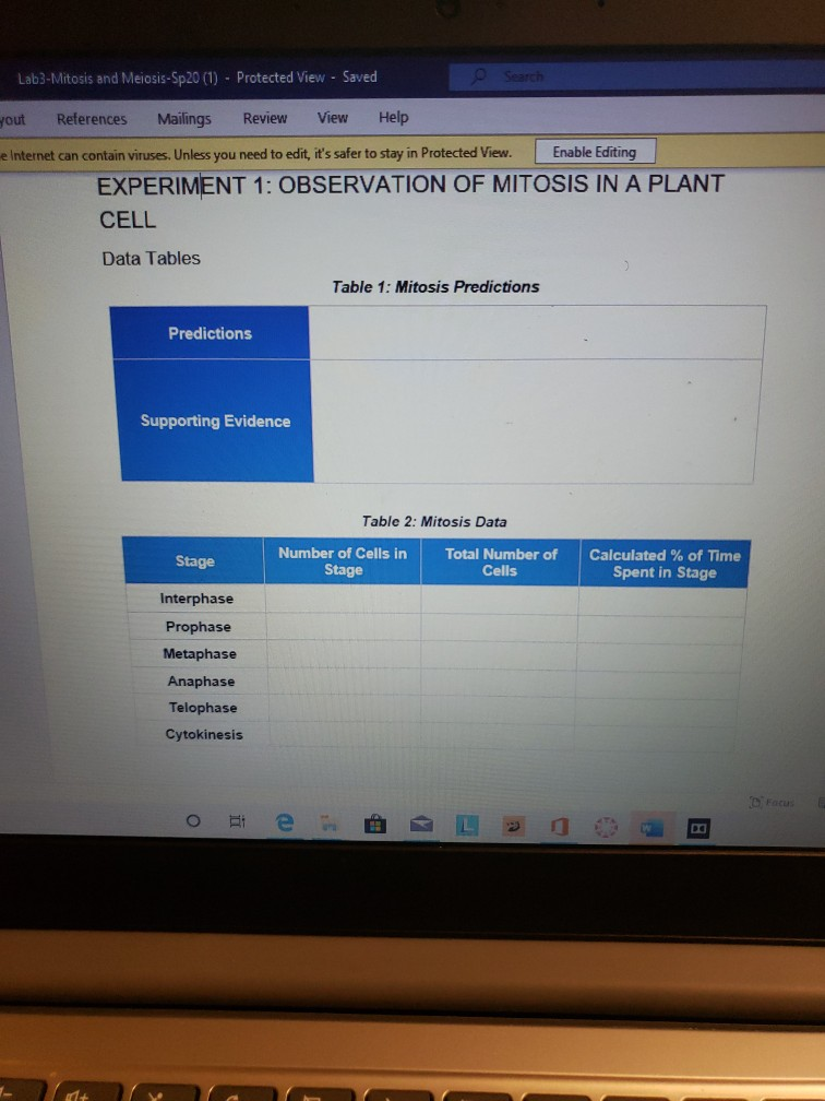 Solved Lab3-Mitosis and Meiosis-Sp20 (1) - Protected View - | Chegg.com