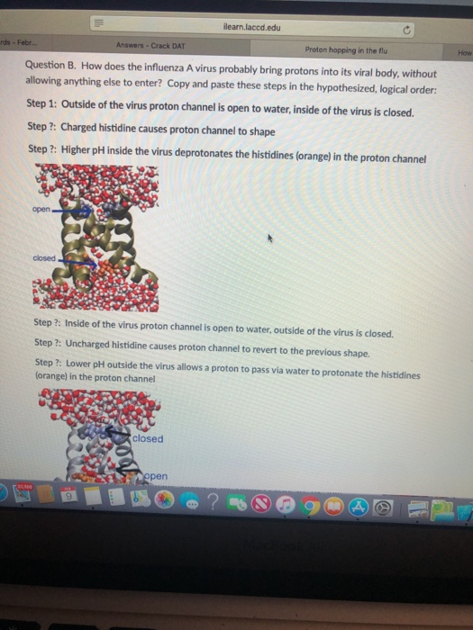 Solved ilearn.laccd.edu rds - Febr Answers Crack DAT Proton | Chegg.com