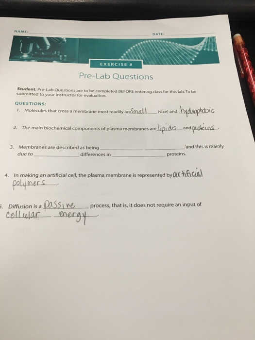 Solved EXERCISE Pre-Lab Questions tudent: Pre-Lab Questions | Chegg.com
