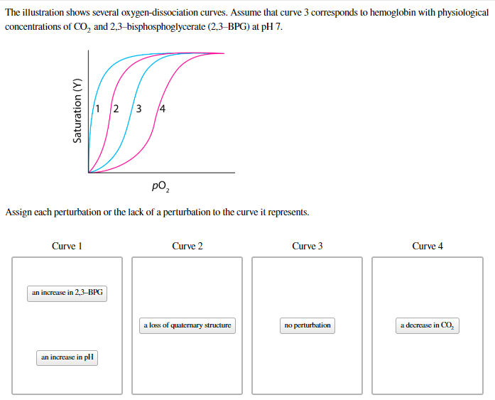 Solved The illustration shows several oxygen‑dissociation | Chegg.com
