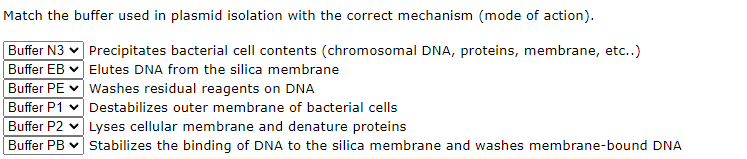 Solved Match the buffer used in plasmid isolation with the | Chegg.com