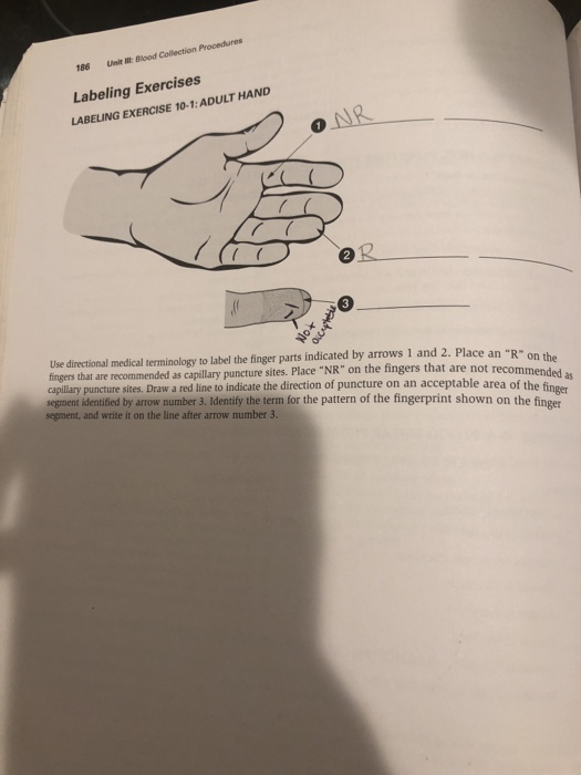 Solved Labeling Exercises LABELING EXERCISE 10-1:ADULT HAND | Chegg.com