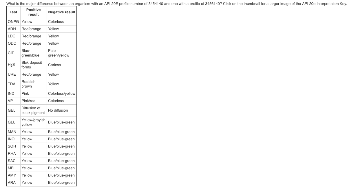What is the major difference between an organism with | Chegg.com