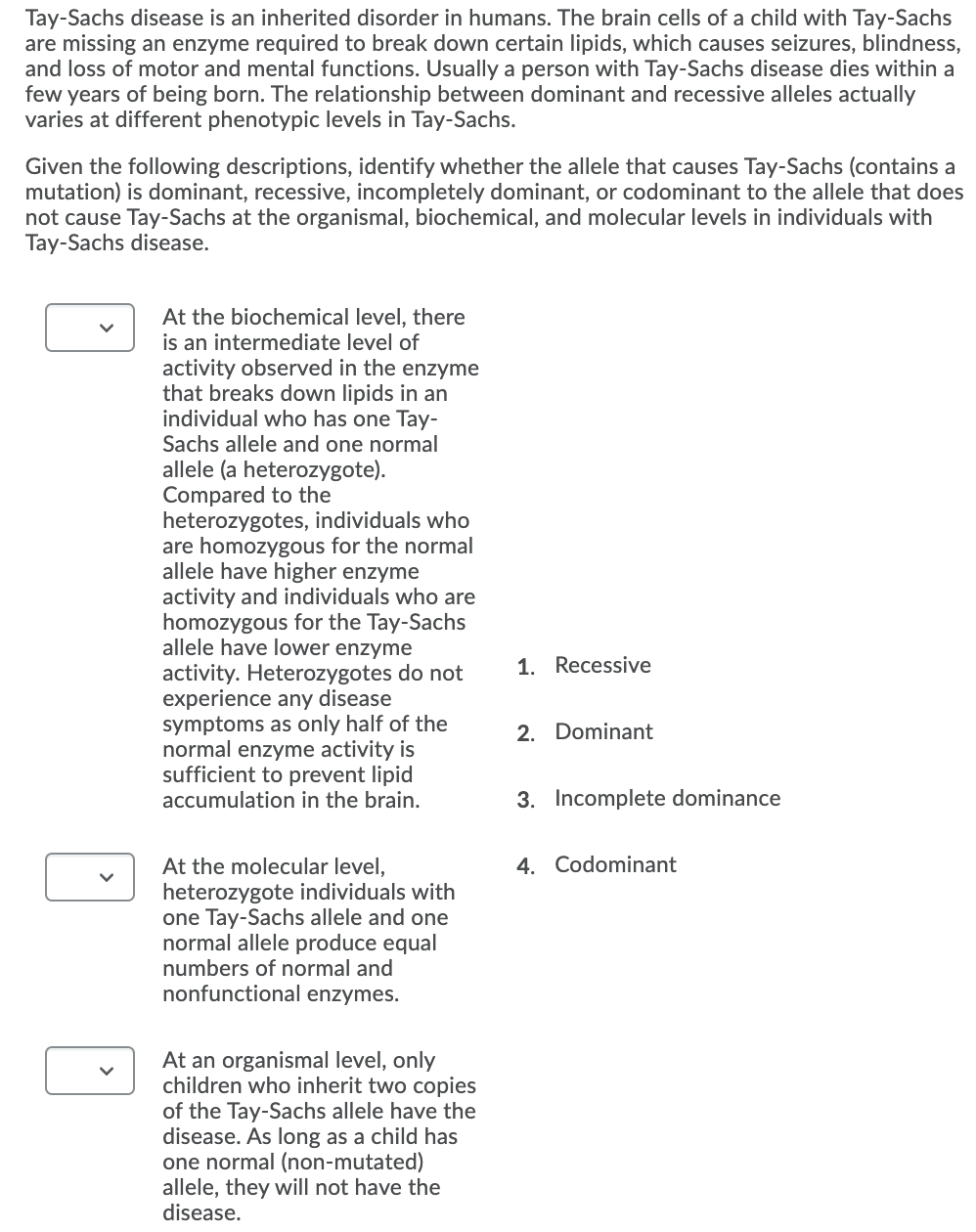 Solved Tay-Sachs disease is an inherited disorder in humans. | Chegg.com