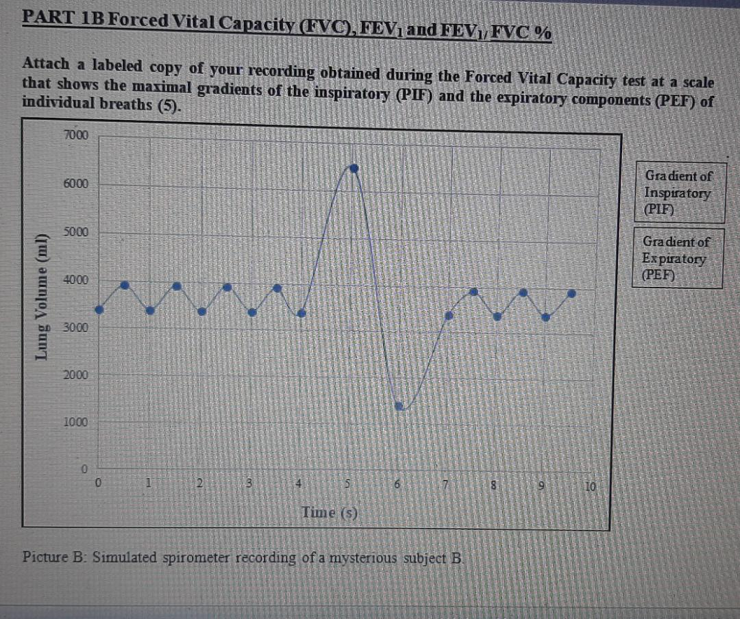 Solved PART 1B Forced Vital Capacity (FVC), FEV, and | Chegg.com