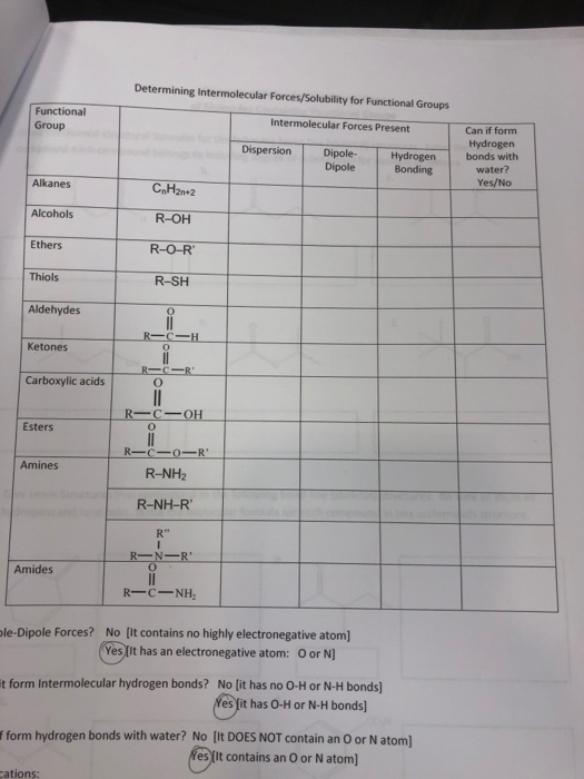 Solved Determining Intermolecular Forces/Solubility for | Chegg.com Solved Determining Intermolecular Forces/Solubility for | Chegg.com