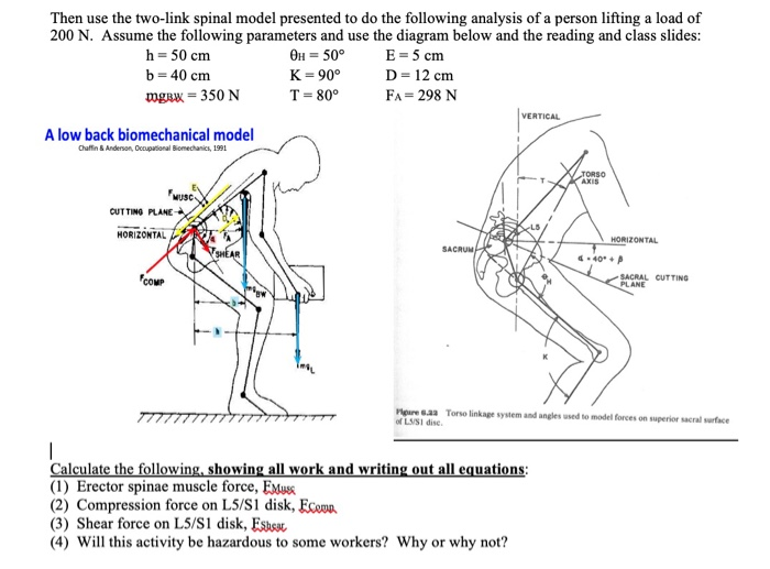 Then use the two-link spinal model presented to do | Chegg.com