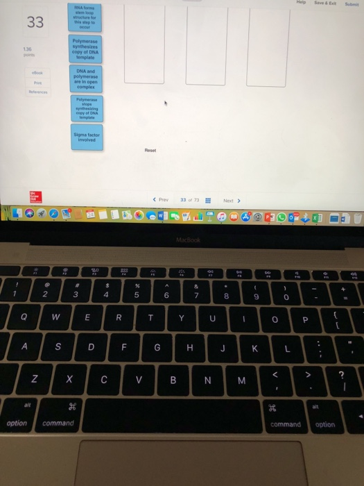 Solved Help Save&Exit Subm Three stages of transcription | Chegg.com