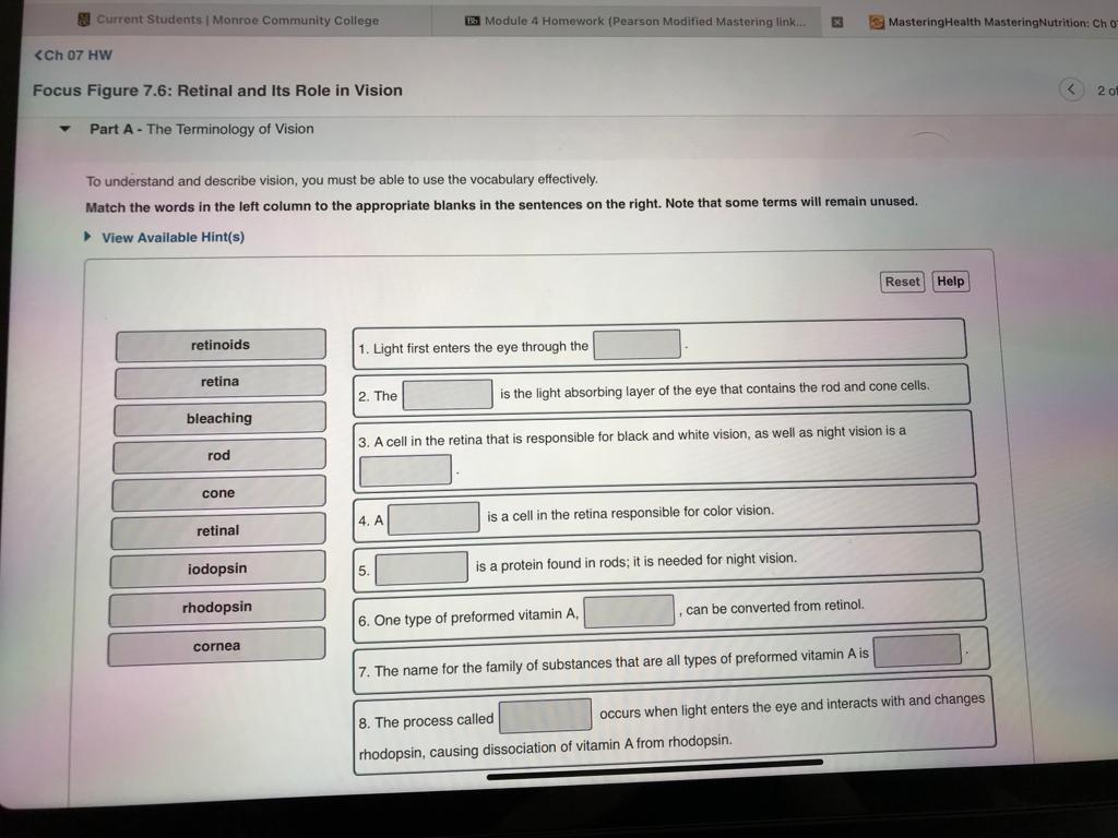 Solved Current Students Monroe Community College 5 Module 4 | Chegg.com