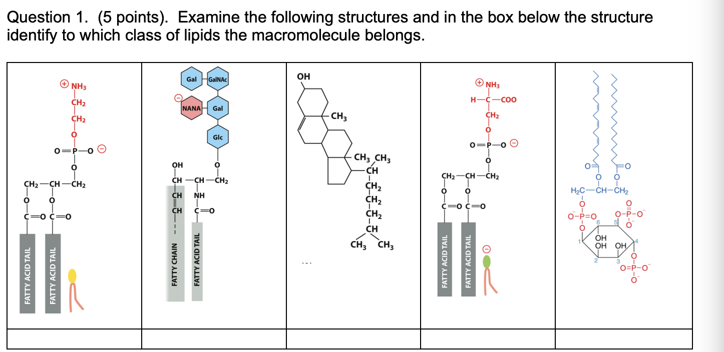 Solved Question 1. (5 points). Examine the following | Chegg.com